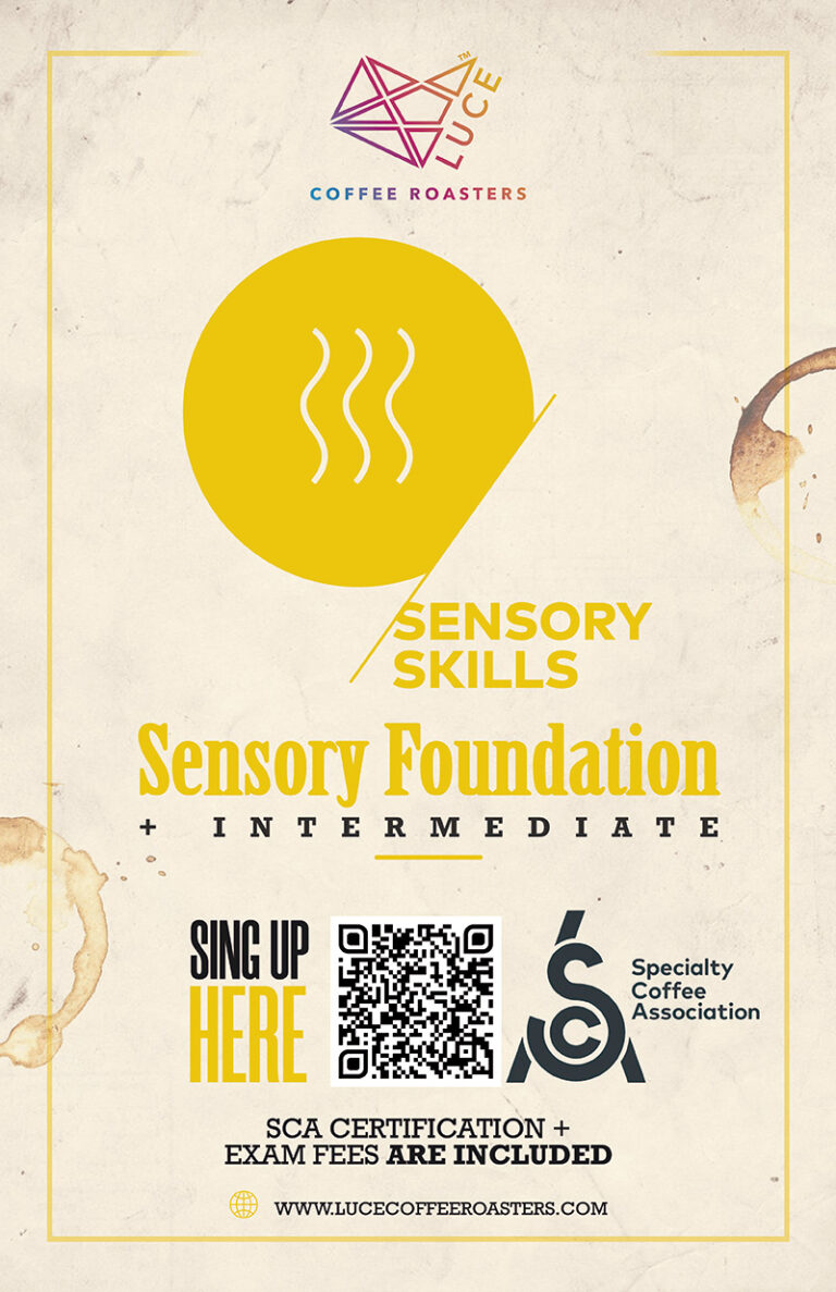 SCA Sensory Foundation + Intermediate – Luce Coffee Roasters