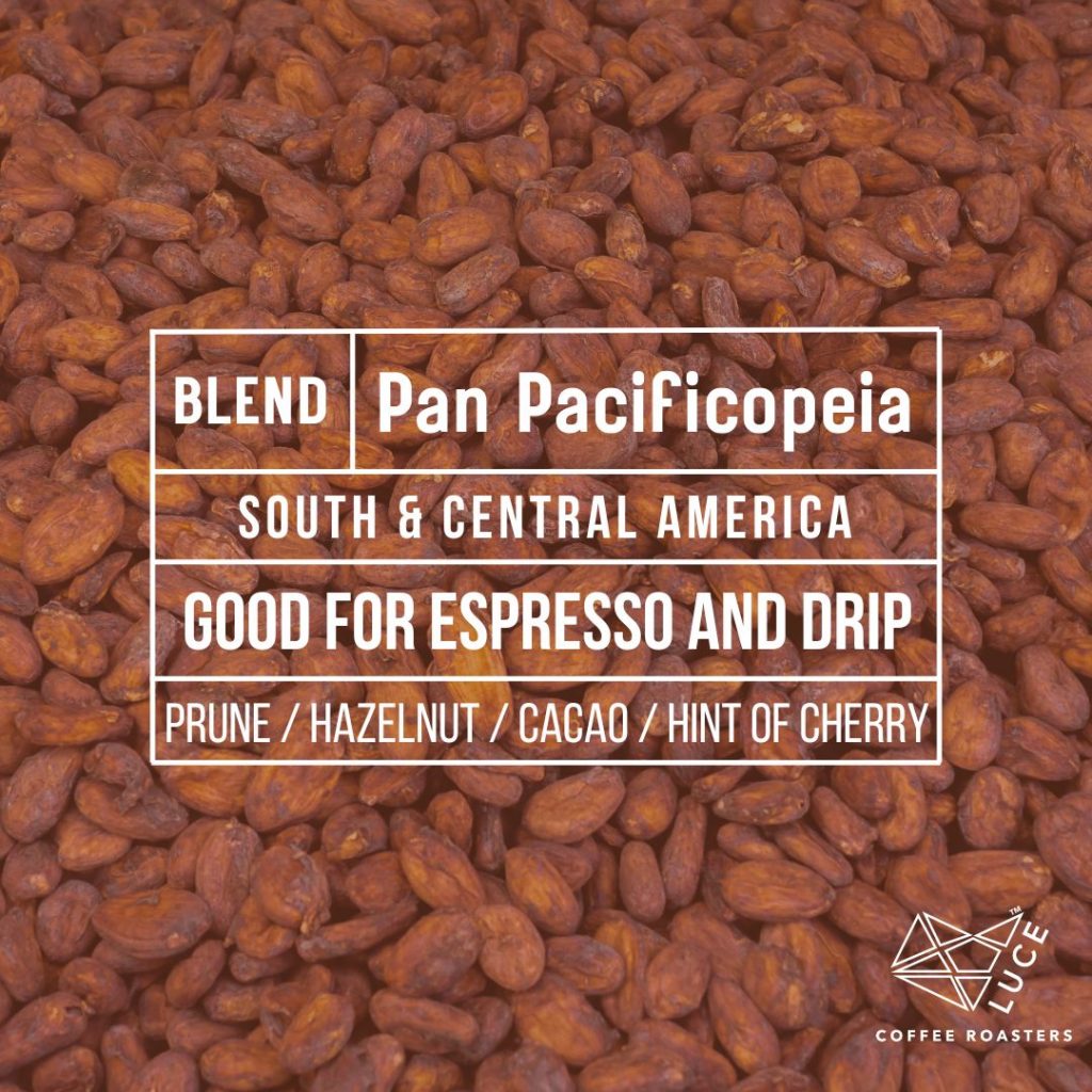 Luce Coffee Roasters – a unique experience